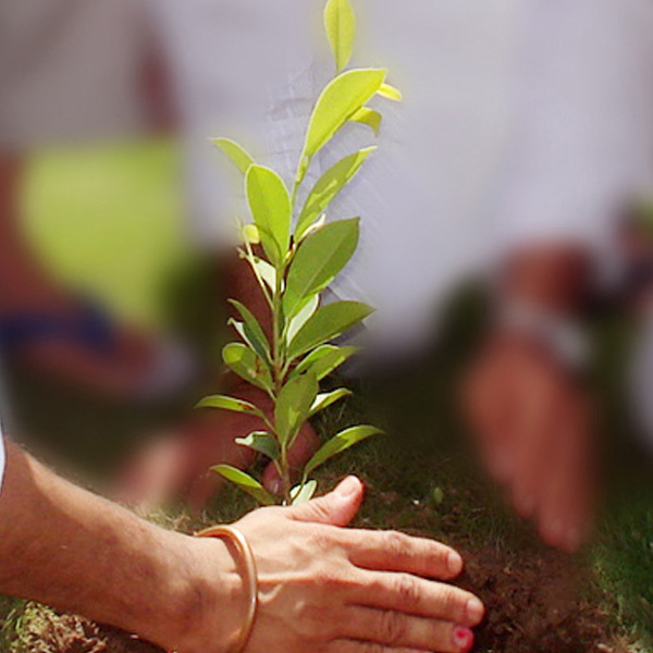 ENVIRONMENTAL CARE – Shrimad Rajchandra Love and Care